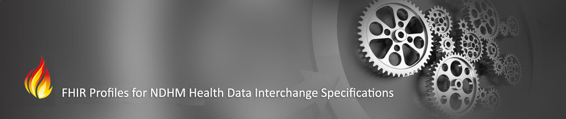 FHIR Implementation Guide for NDHM